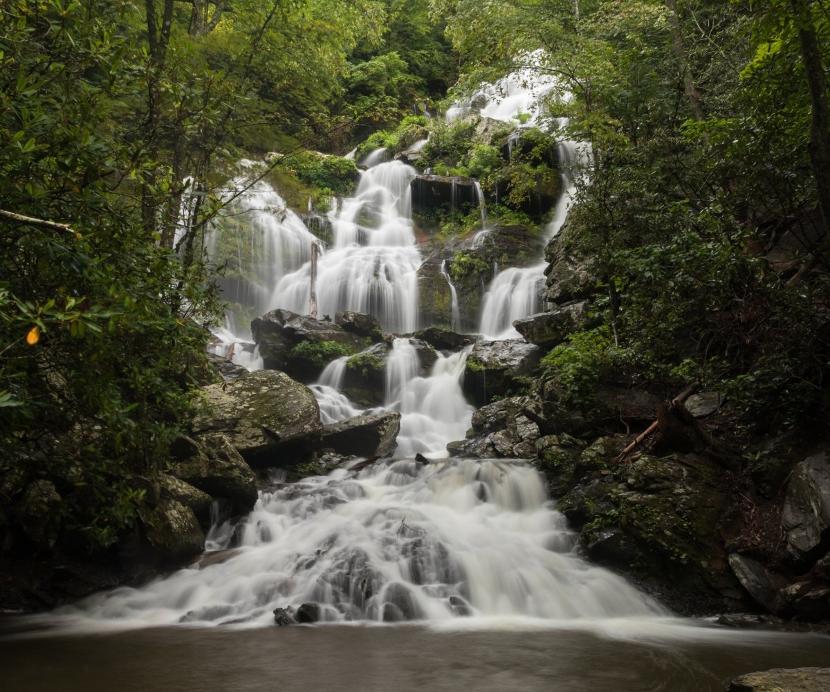 Must Do Scenic Hikes Near Asheville, NC (2025) | NC GO