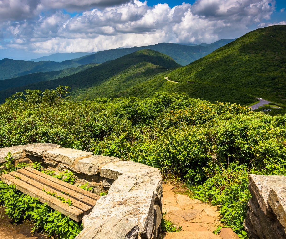 Must Do Scenic Hikes Near Asheville, NC (2025) | NC GO