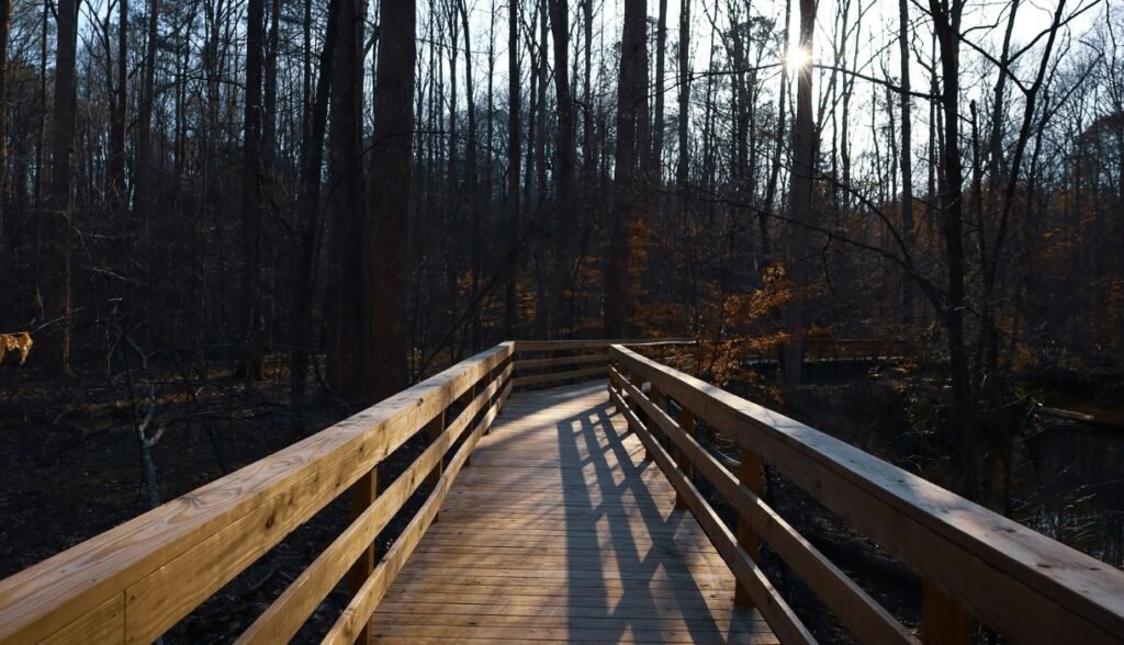 Best Things to Do in Cary, NC (2025 Edition) | NC GO